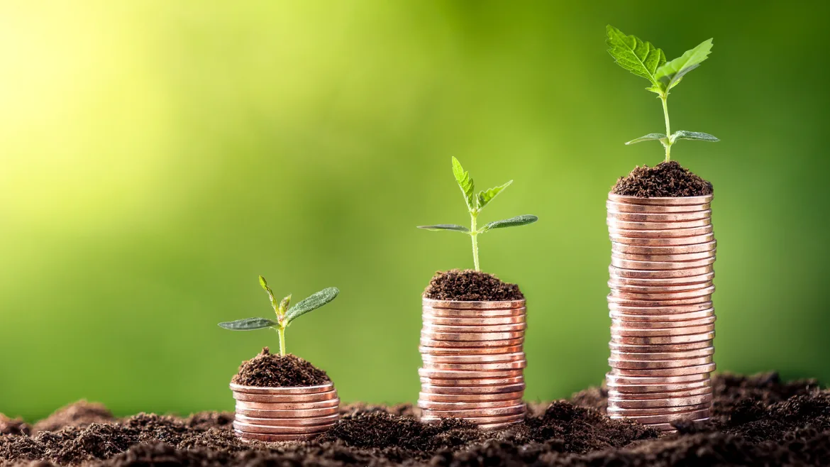 The Anti-Resolution Guide to Growing Your Savings 